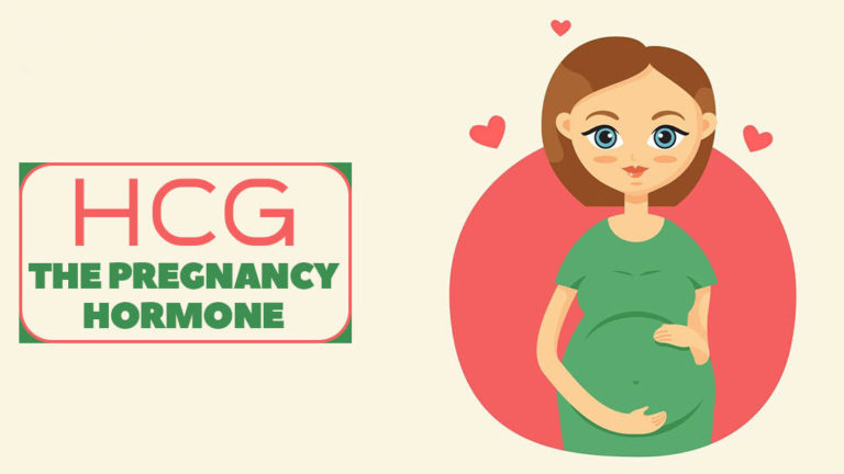 Pregnancy Hormone Levels - Pregnancy Week by Week