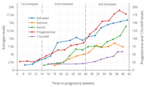 Pregnancy Hormone Levels - Pregnancy Week by Week